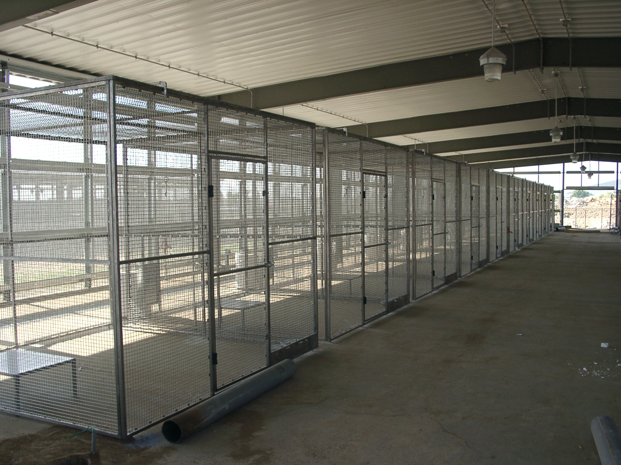 Caging – A Thru Z Consulting & Distributing, Inc.