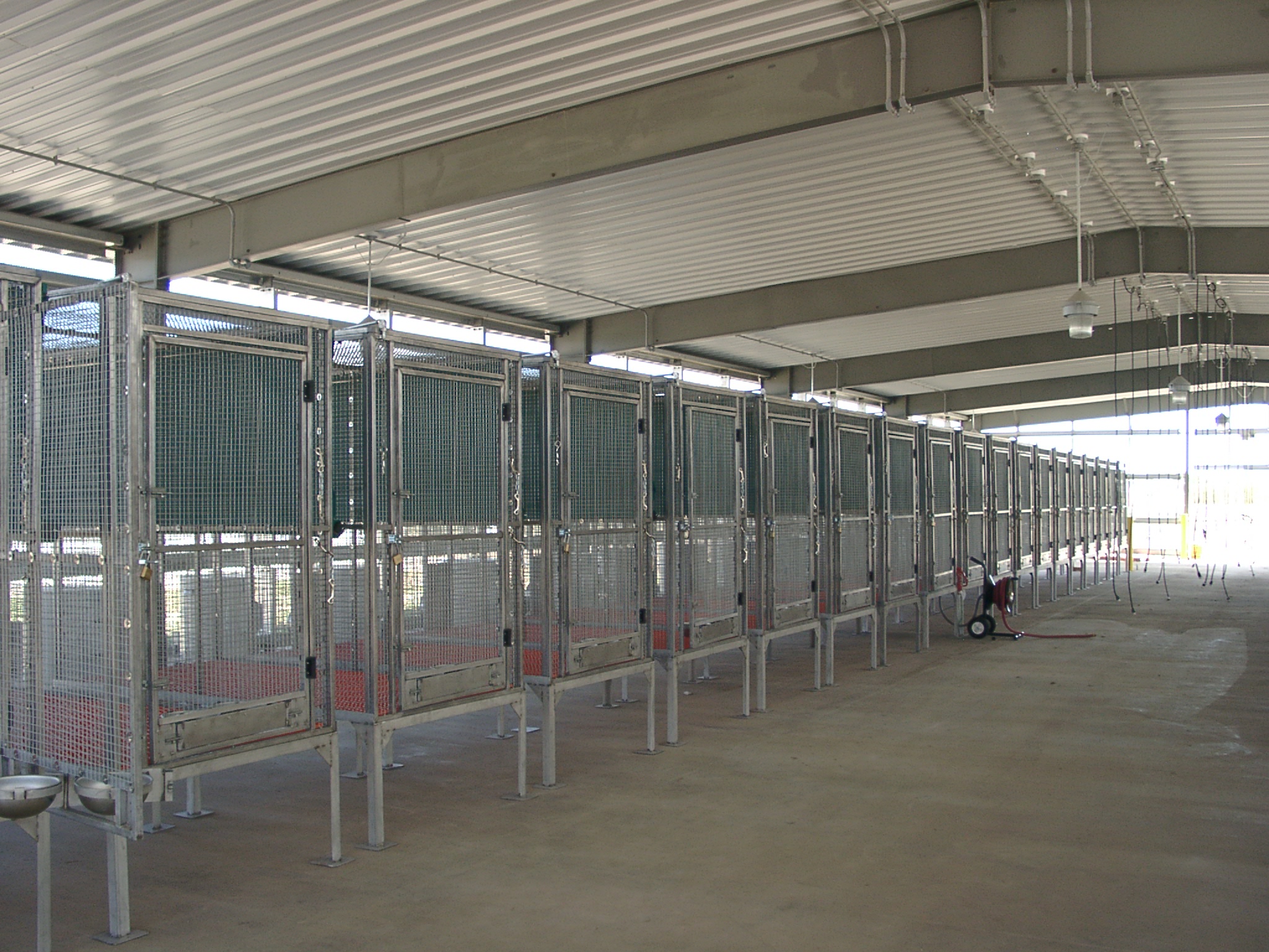 Caging – A Thru Z Consulting & Distributing, Inc.