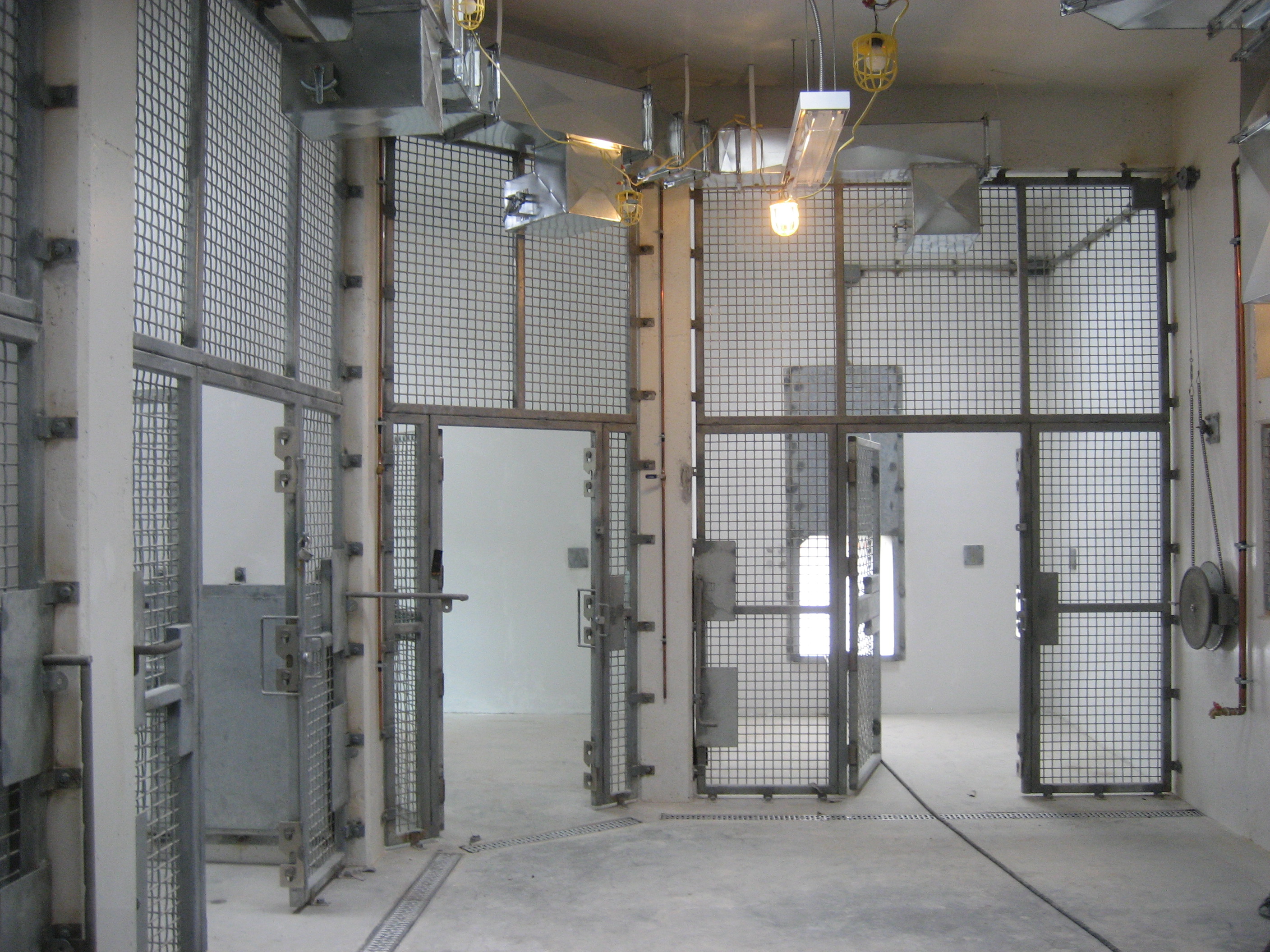 Caging – A Thru Z Consulting & Distributing, Inc.