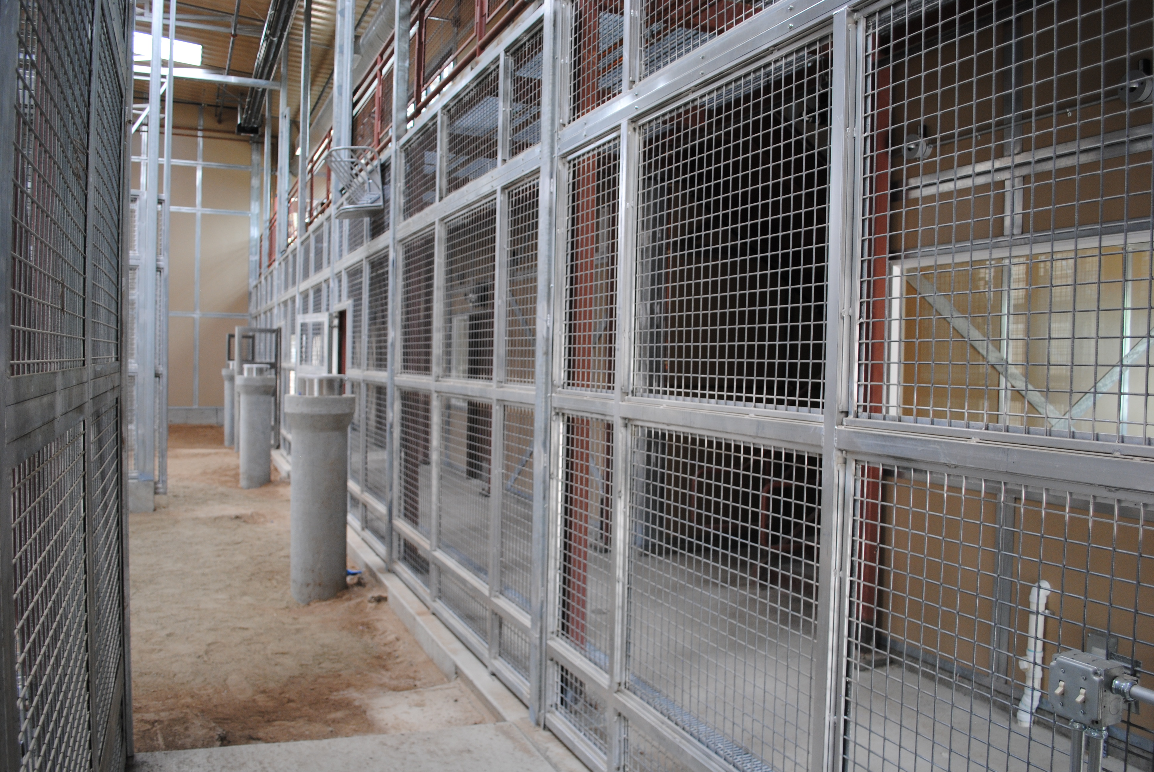 Caging – A Thru Z Consulting & Distributing, Inc.