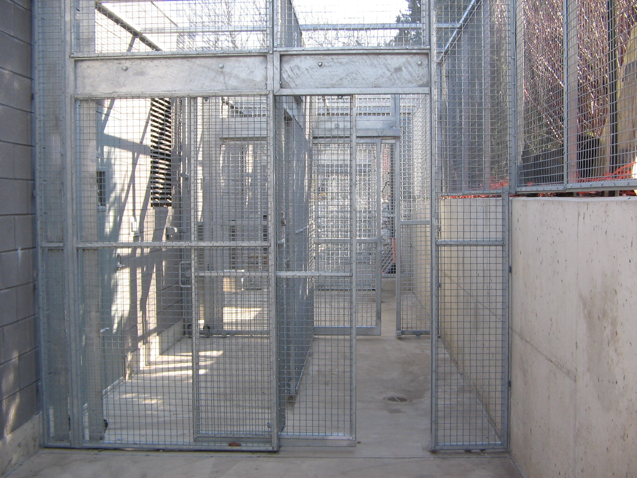 Caging – A Thru Z Consulting & Distributing, Inc.