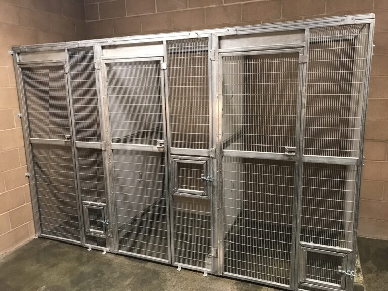 Class 3 – A Thru Z Consulting & Distributing, Inc.